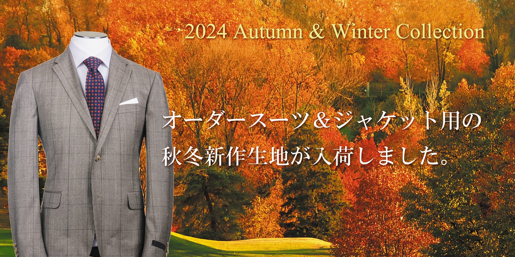 2024-2025秋冬 新柄入荷 - SALON Teegon